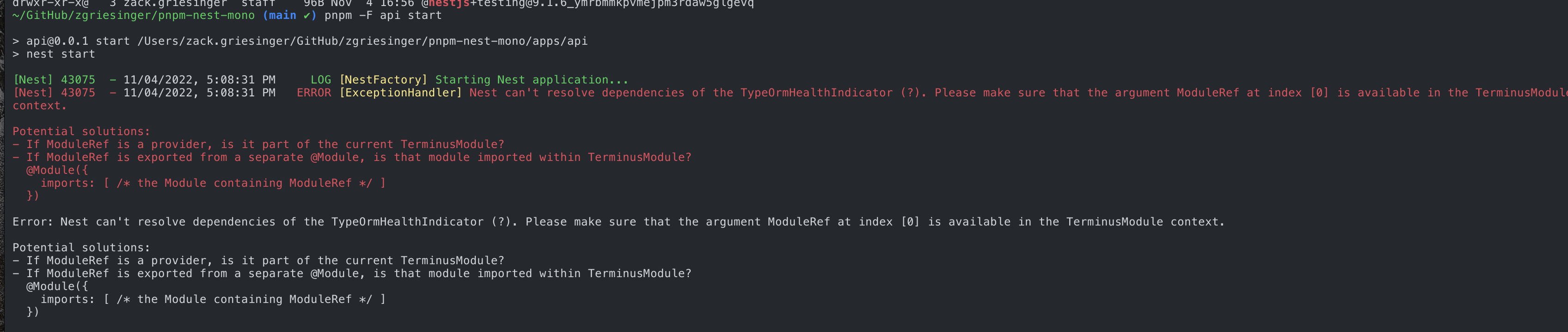 Moduleref Is Not Found When Using Nestjs With A Pnpm Mono Repo · Issue 6832