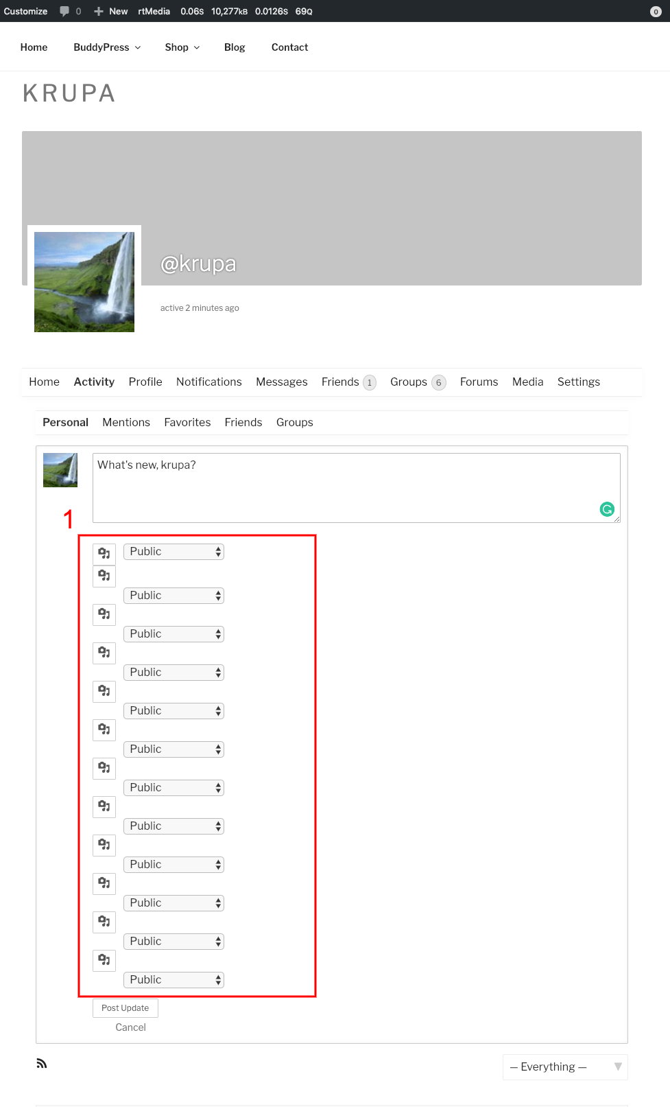 [BuddyPress Nouveau template] Multiple media upload and privacy drop-down are shown · Issue ...