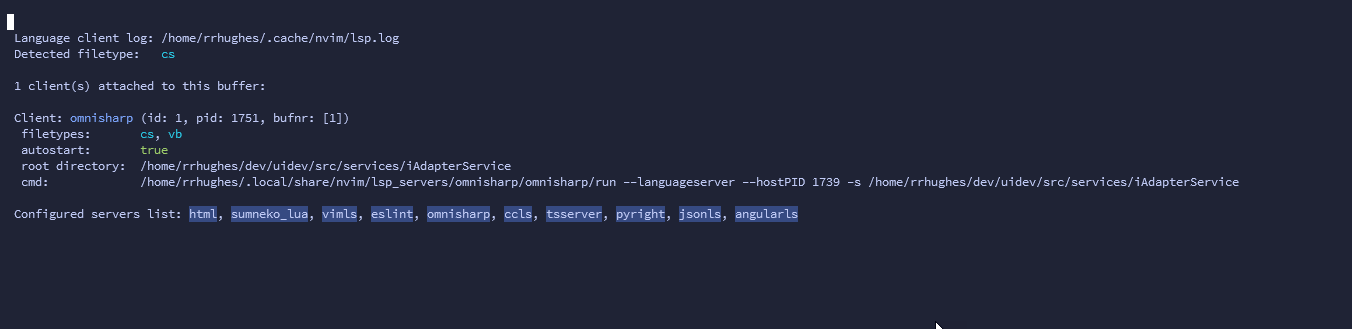 Omnisharp Server throwing unexpected namespace and type errors in Neovim · Issue #2459 ...