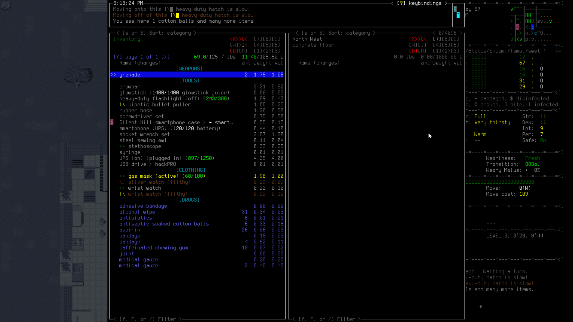Items in pocket are hidden in Inventory screen. Bug or Experimental ...