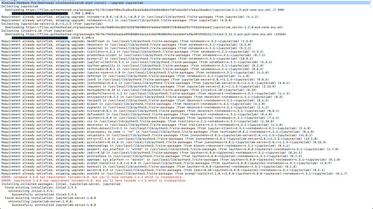 Installing JupyterLab · Issue #9241 · jupyterlab/jupyterlab · GitHub