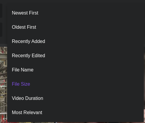Search: Sort results by "File Size" and "Video Duration" · Issue #2620 · photoprism/photoprism ...