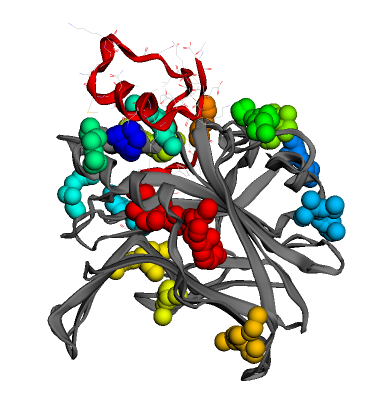 How to color by residue ID · Issue #497 · 3dmol/3Dmol.js · GitHub
