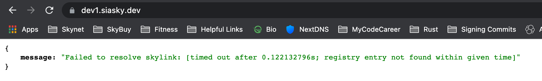 NGINX fallback for Website Skylink error on 404 · Issue #1372 · SkynetLabs/skynet-webportal · GitHub