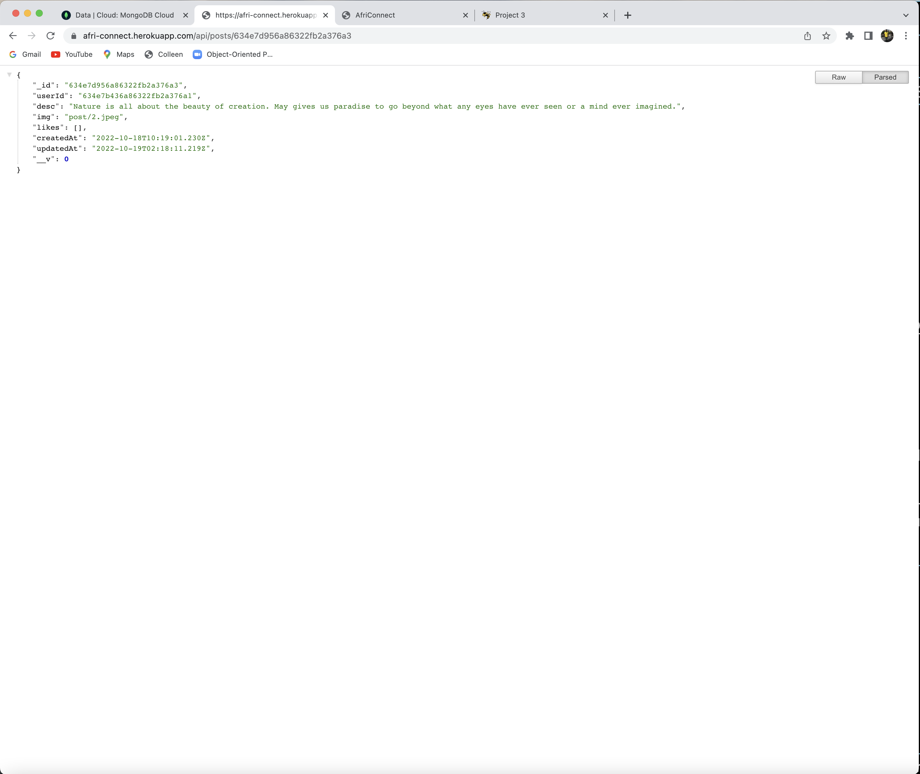 GitHub - bl-engineer/AfriConnect