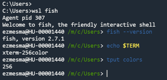 ConEmu vagrant ssh fish · Issue #5387 · fish-shell/fish-shell · GitHub
