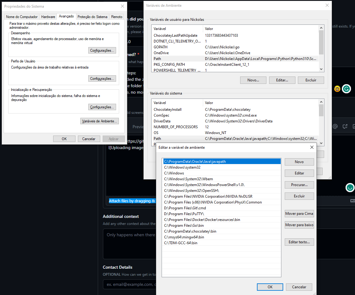 [bug] Problem At The Startup · Issue 3760 · Invoke Ai Invokeai · Github