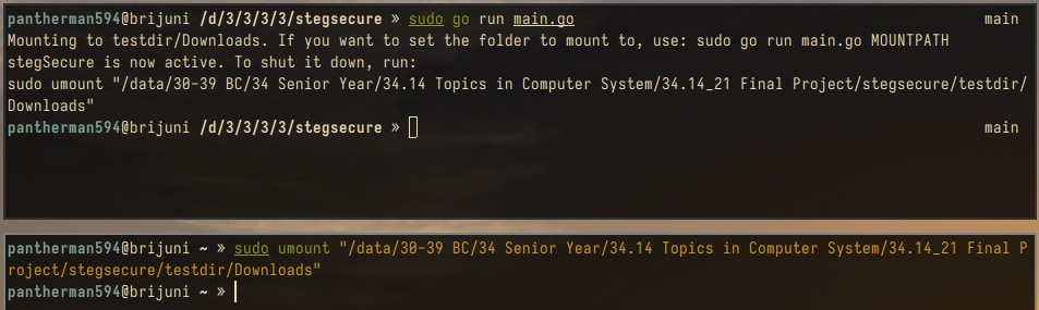 GitHub - standardrhyme/stegsecure