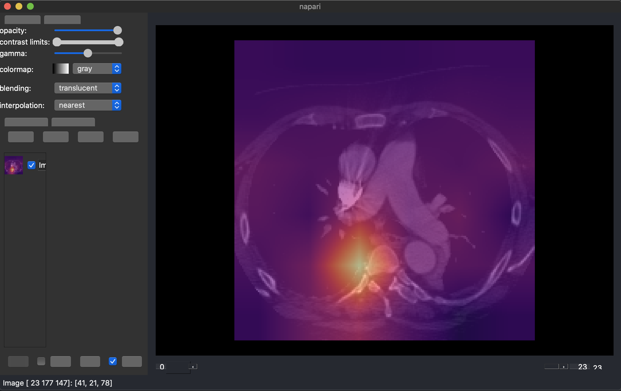 Napari Gui Not Displaying Properly On Osx · Issue 1044 · Naparinapari · Github
