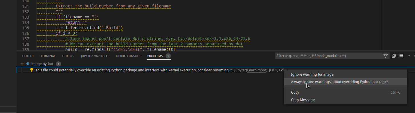 Jupyter extension always reports "This file could potentially override an existing Python ...