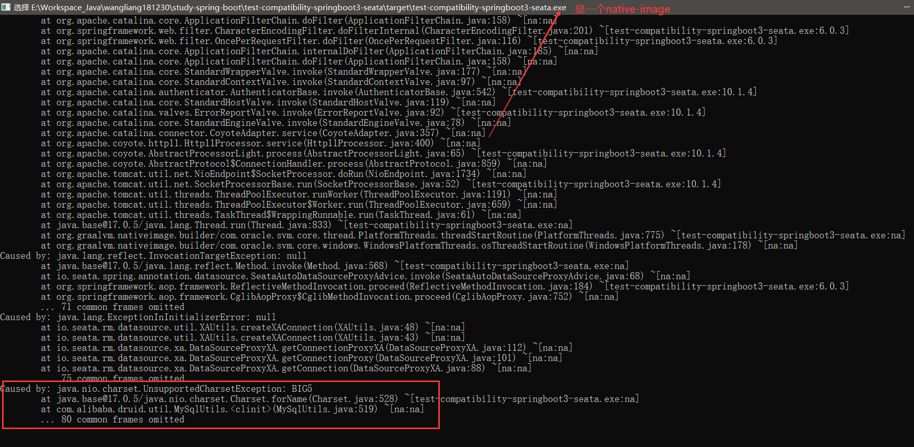 在 `native-image` 中，`Charset.forName("XXXX")` 报错 · Issue #5064 · alibaba/druid · GitHub