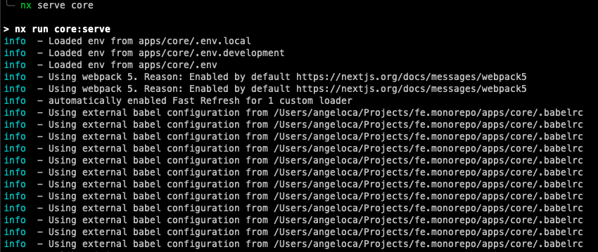 Next.js | Multi process child spawned when run "nx serve core" command with repetitive string ...