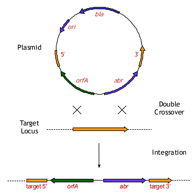 Visualisation of spatial localisation of components · Issue #37 ...