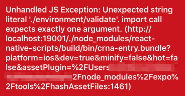 Unexpected string literal ./environment/validate import call expects exactly one argument ...