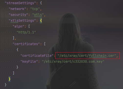 trojan 连接服务器端报 tls: bad certificate · Issue #1008 · 2dust/v2rayNG · GitHub