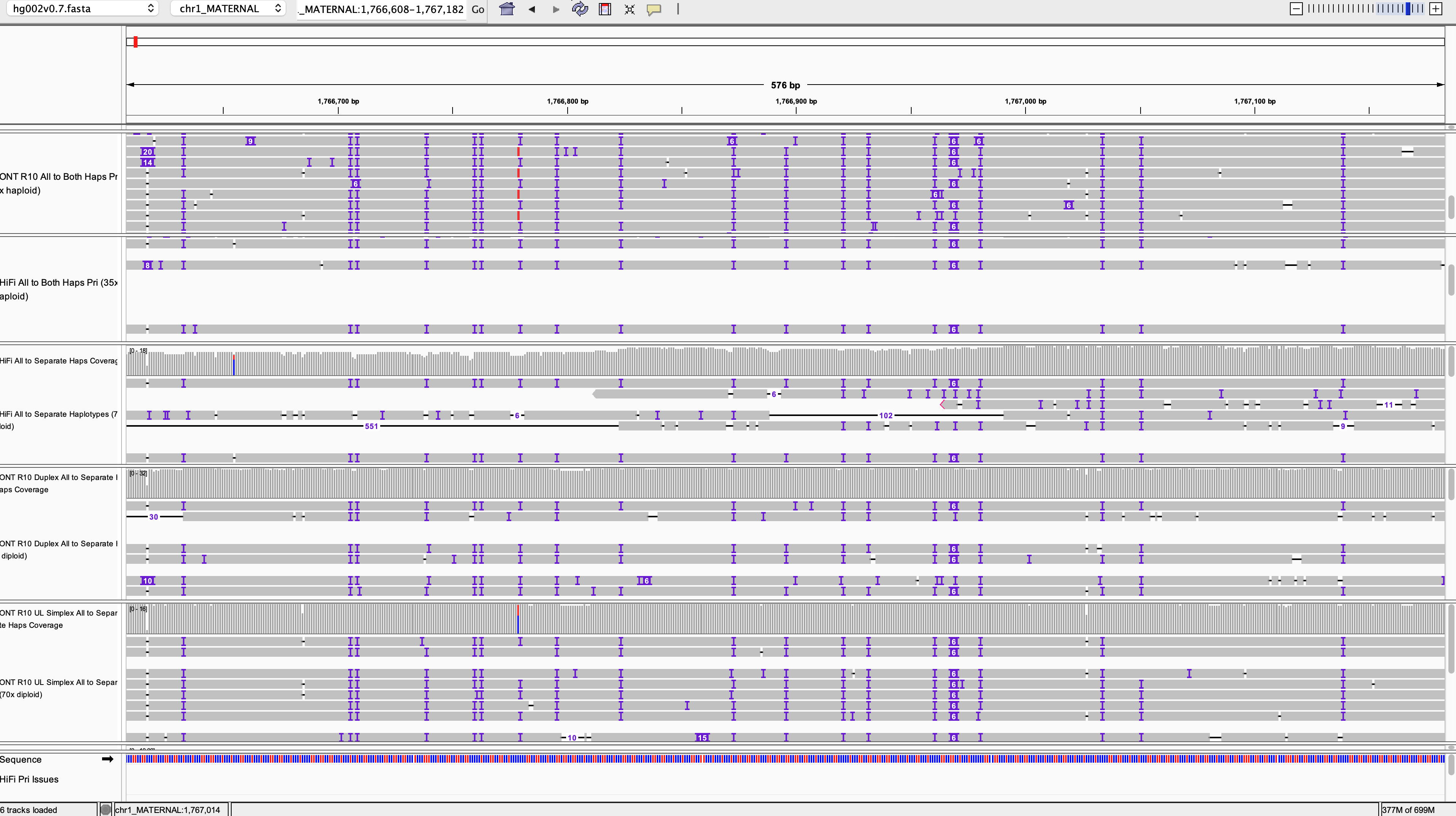 Issue: chr1_MATERNAL:1766895-1766895 · Issue #448 · marbl/HG002-issues · GitHub