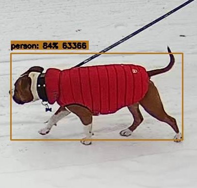 [Support]: cats and dogs not being detected · Issue #4497 ...