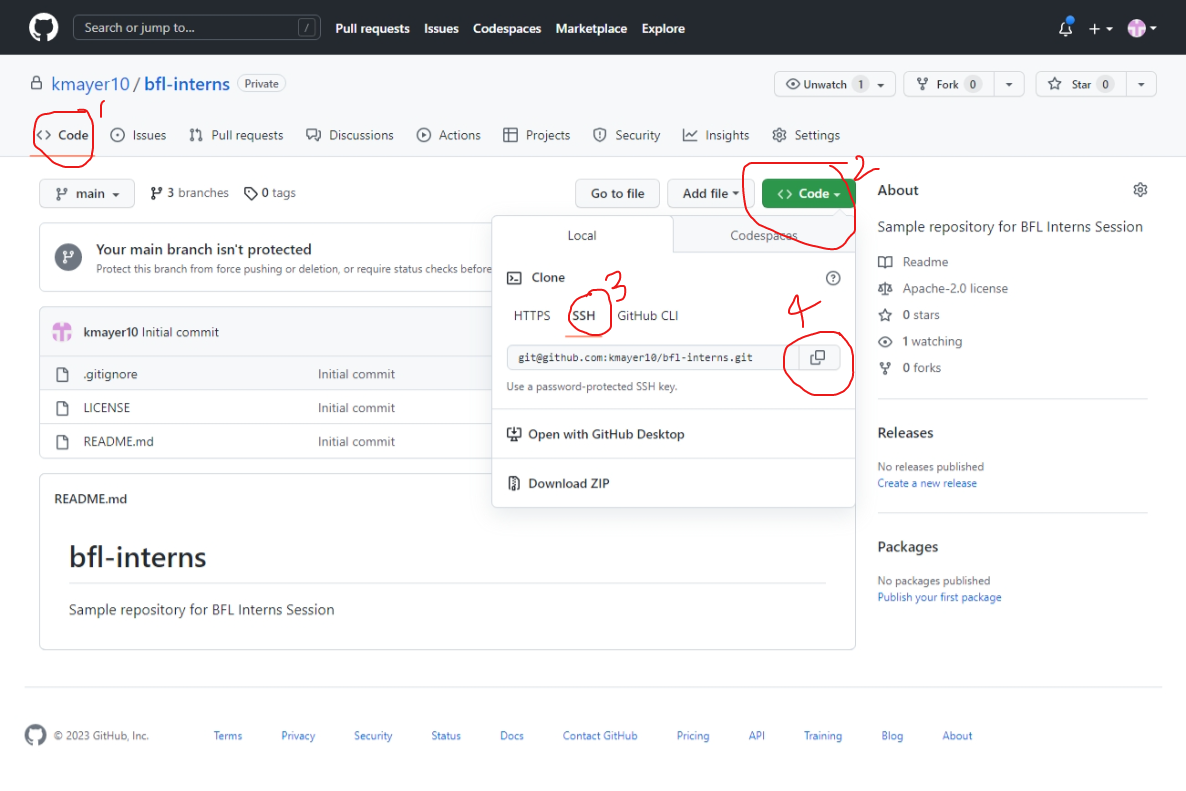 Working with GITHUB · kmayer10 bfl-interns · Discussion #1 · GitHub