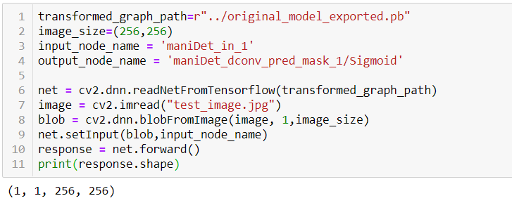 Netforward For The Given Model Works On Python But Not C · Issue