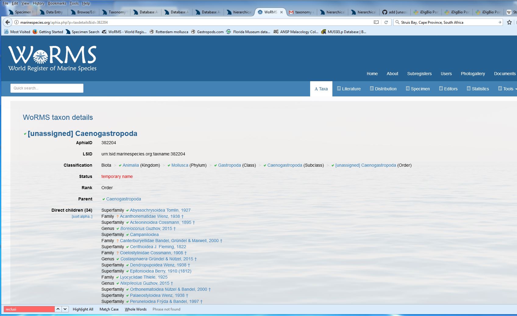 add [unassigned] Caenogastropoda as an Order · Issue #1321 · ArctosDB/arctos · GitHub