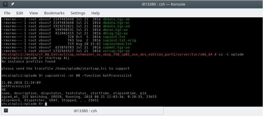 Install SAP NetWeaver in openSUSE - Installation of NPL failed, please ...
