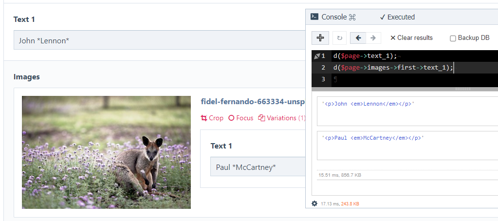 Textformatter doesn't work in Custom fields for images · Issue #1337 · processwire/processwire ...