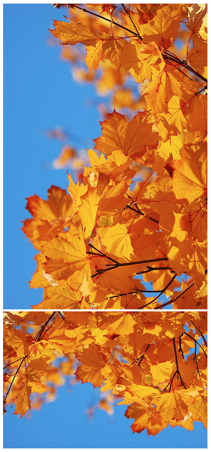 Image actions are not applied to variations that specify a suffix or cropping option · Issue ...