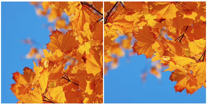 Image actions are not applied to variations that specify a suffix or cropping option · Issue ...