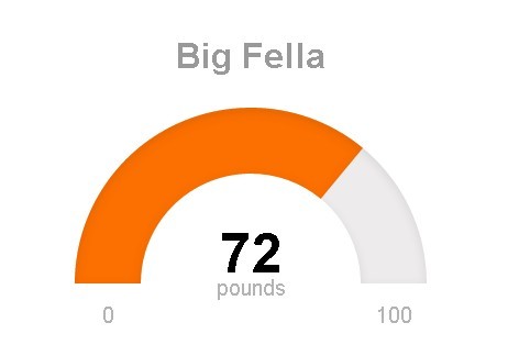Half Pie chart request · Issue #989 · PhilJay/MPAndroidChart · GitHub