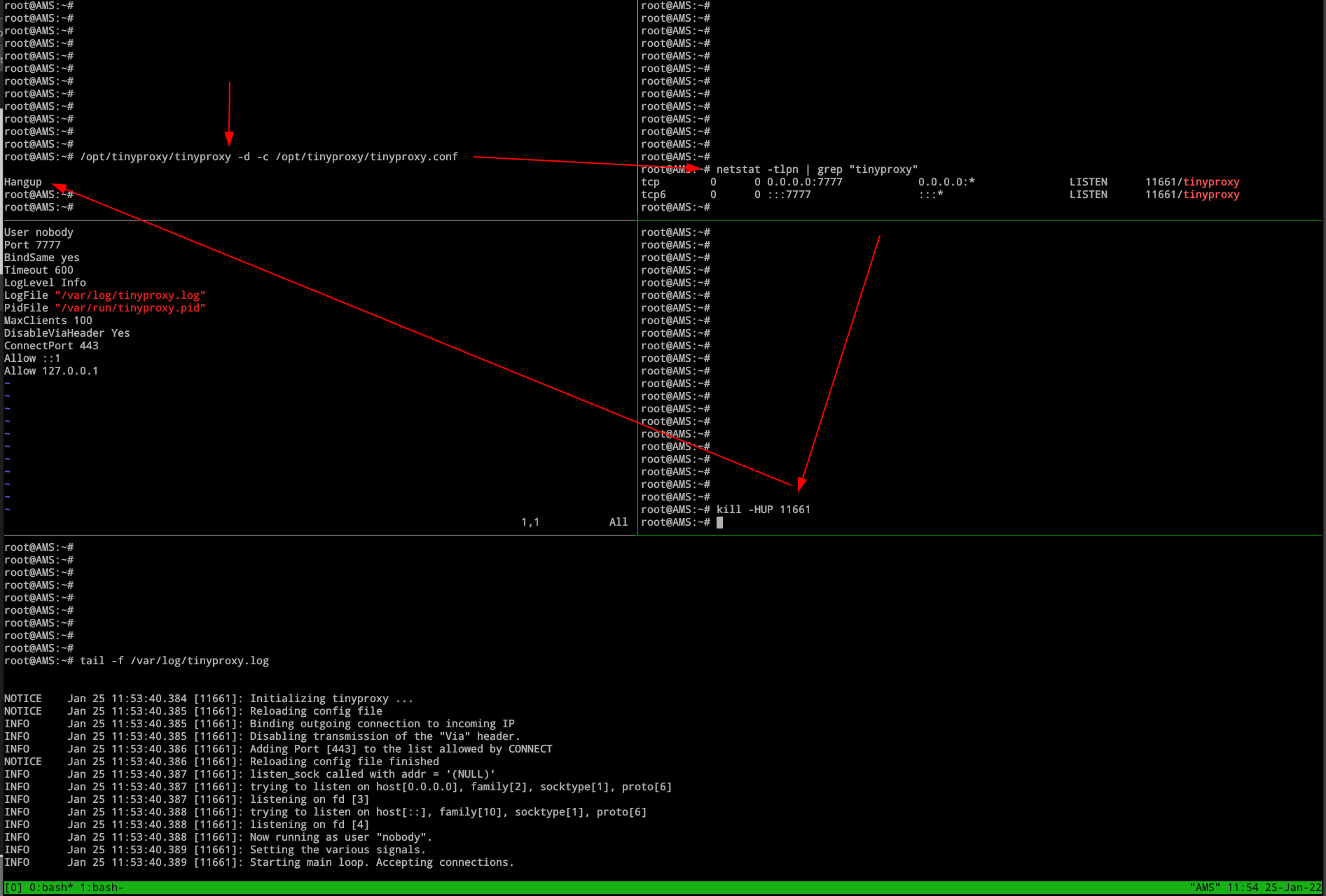 Hup Signal Doesn T Work As Expected When Tinyproxy Is Started In Foreground · Issue 416