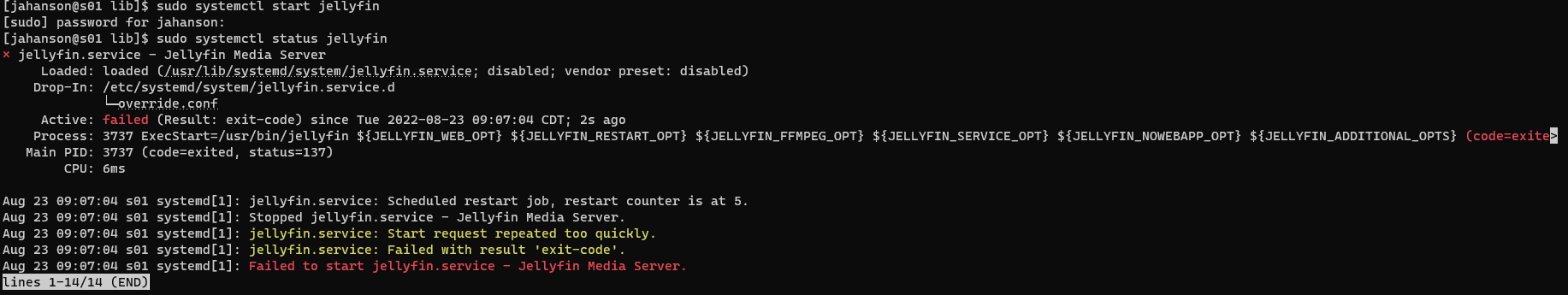 [Issue]: unable to start service · Issue #8303 · jellyfin/jellyfin · GitHub