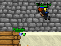 Double party shield · Issue #93 · mehah/otclient · GitHub