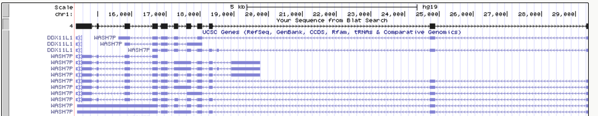 Bug with strand-specific RNA-Seq quantification - gtf_to_fasta doesn't respect transcript ...