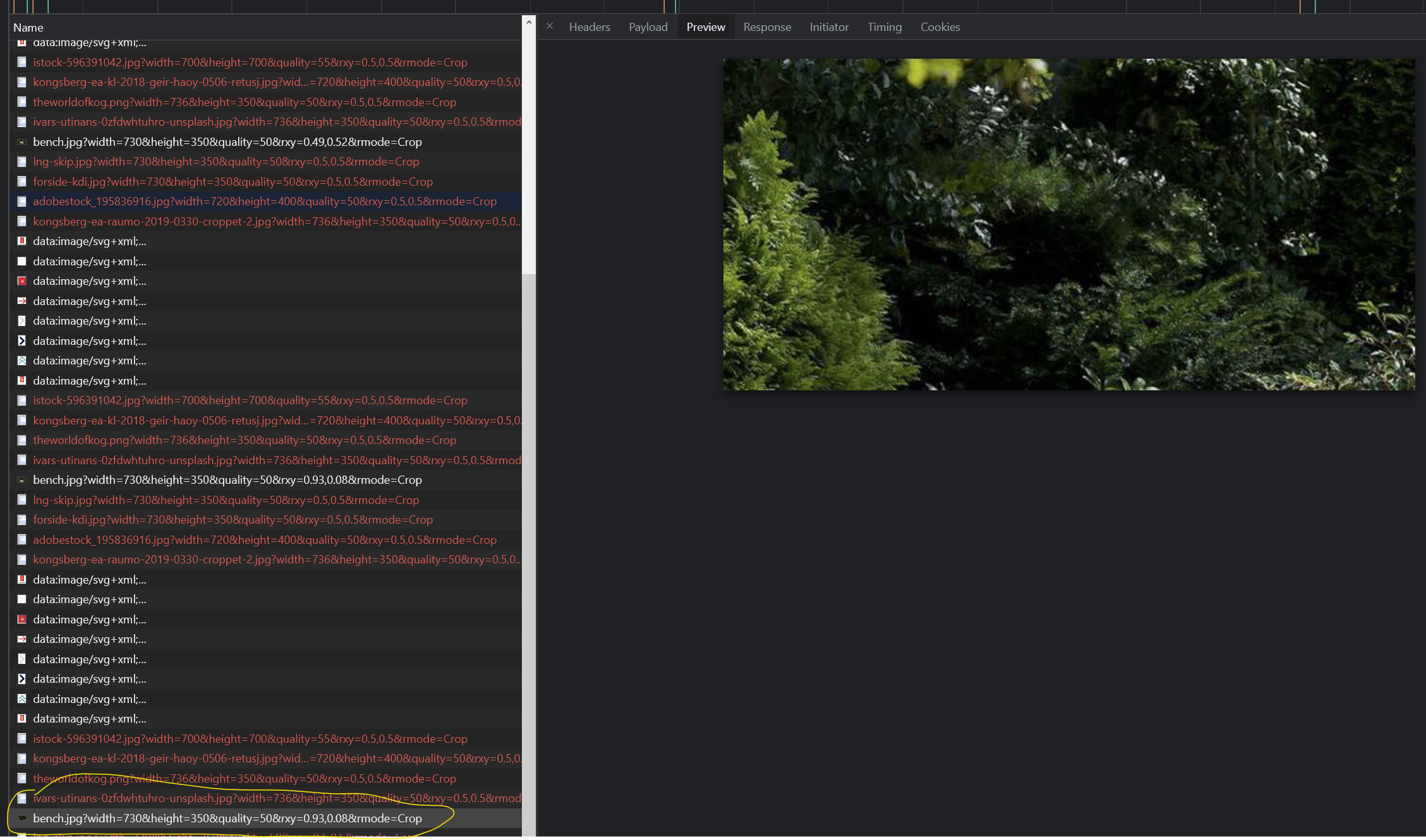 Cached version of image is returned from server despite crop settings changed · Issue #35 ...