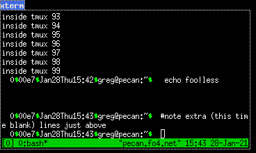 tmux loses output when changing window size · Issue #2536 · tmux/tmux · GitHub