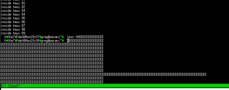 tmux loses output when changing window size · Issue #2536 · tmux/tmux · GitHub