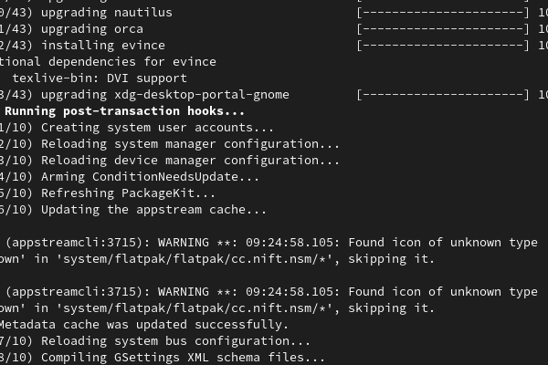 [Bug]: Found icon of unknown type 'unknown' in 'system/flatpak/flatpak/cc.nift.nsm/*', skipping ...