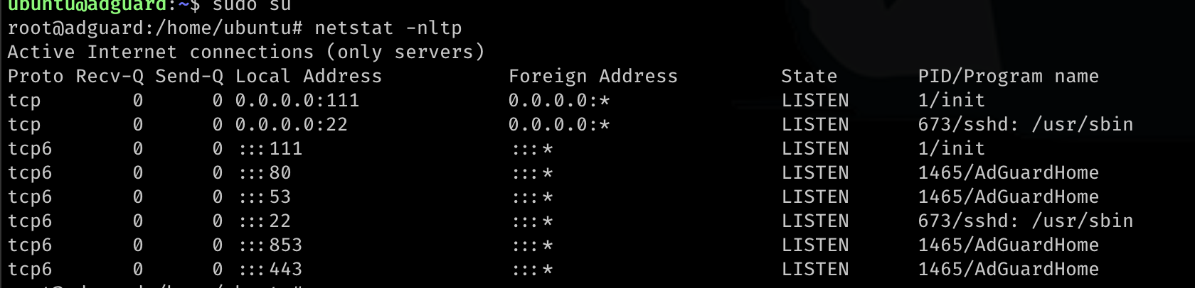 DOT Identifier not working in ipv6 · Issue #4922 · AdguardTeam/AdGuardHome · GitHub