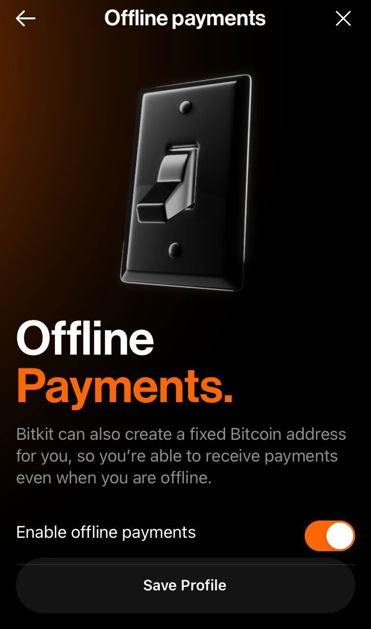 Profile / Offline payments layout bug · Issue #464 · synonymdev/bitkit · GitHub