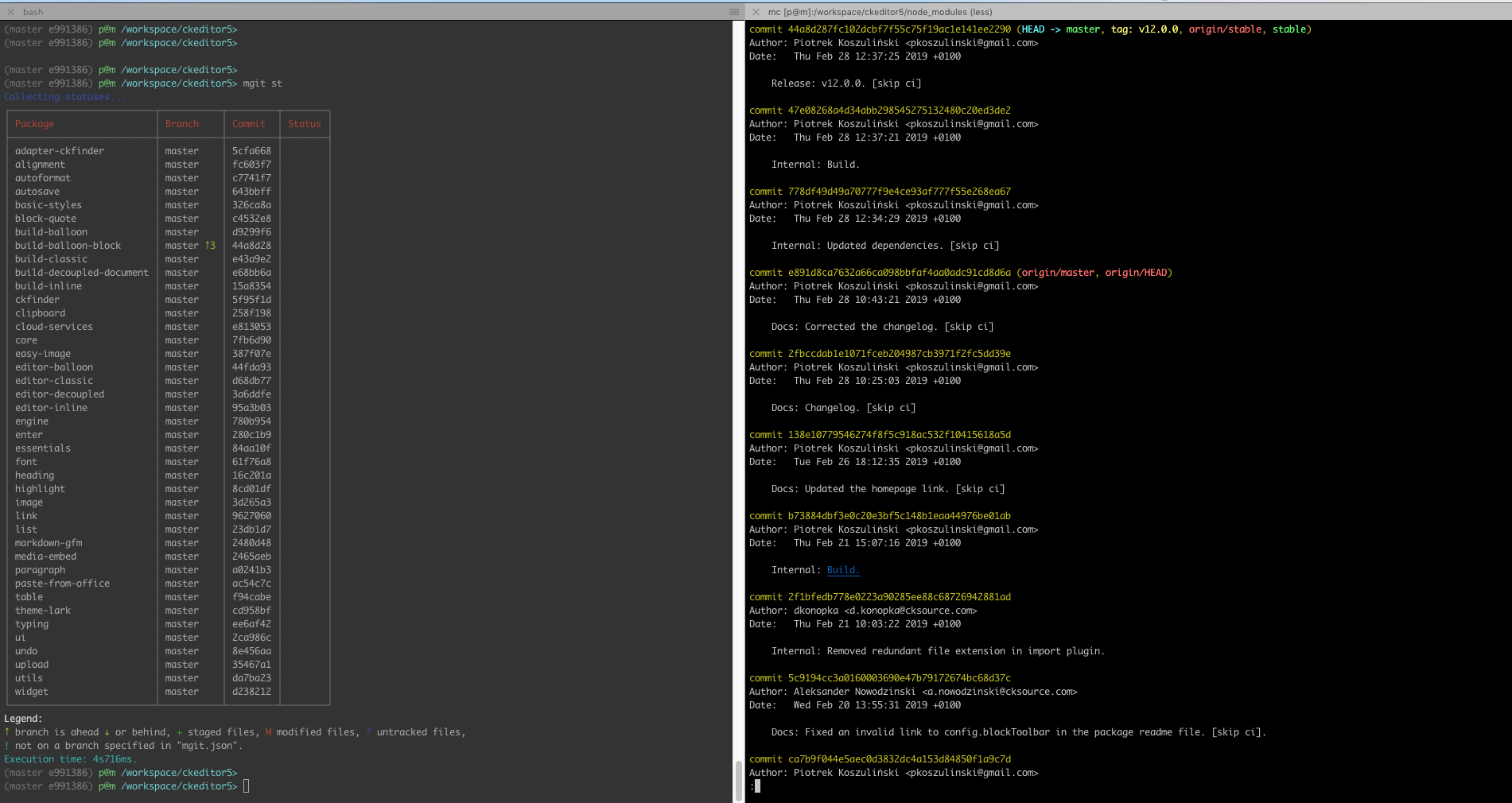 The new package has not been pushed to GH during the release · Issue #7151 · ckeditor/ckeditor5 ...