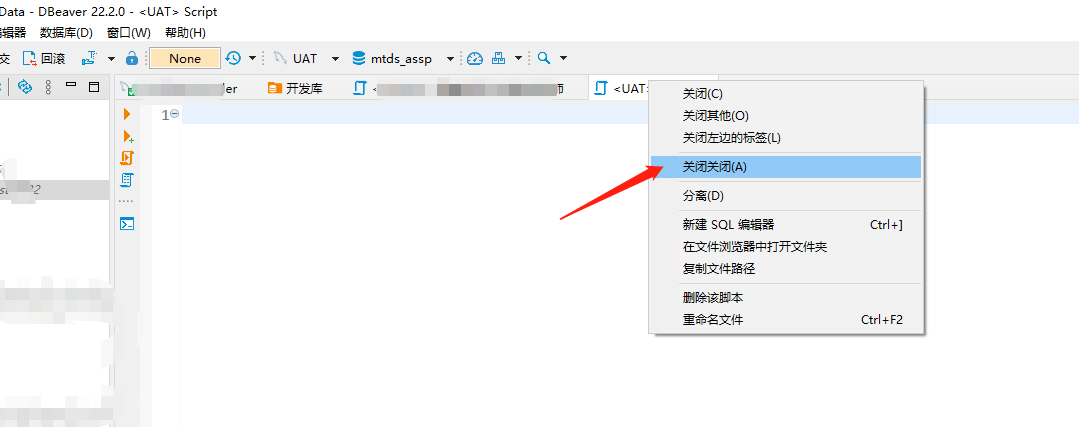 Chinese On Button Of Tabs Close All Is Error · Issue 17641 · Dbeaverdbeaver · Github 