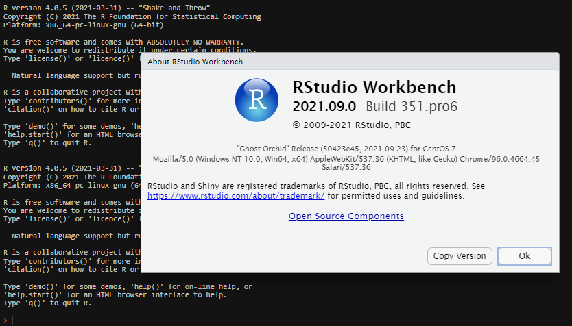 R starts twice when opening Rstudio · Issue #6907 · rstudio/rstudio ...