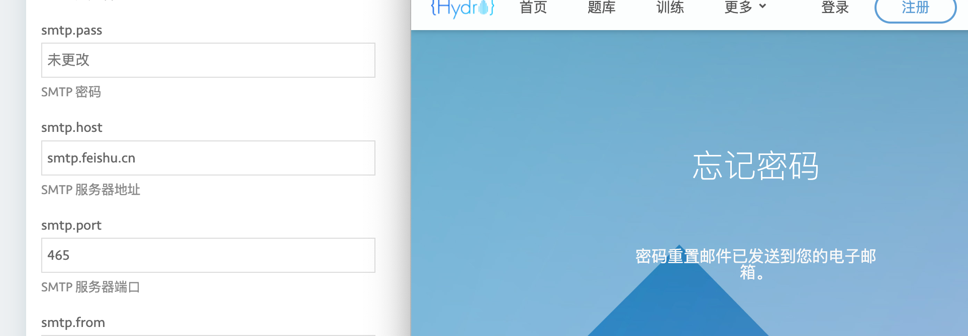 修改smtp密码后，保存刷新，还是显示未更改 · Issue #469 · hydro-dev/Hydro · GitHub