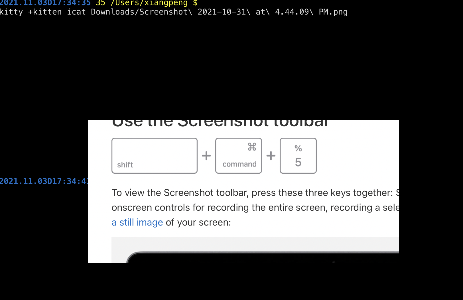 bad image display behaviour after resizing window · Issue #4187 · kovidgoyal/kitty · GitHub
