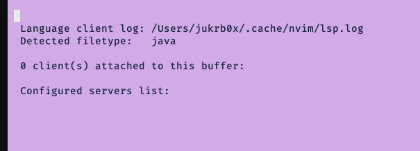 Installing Java language server fails · Issue #128 · kabouzeid/nvim ...