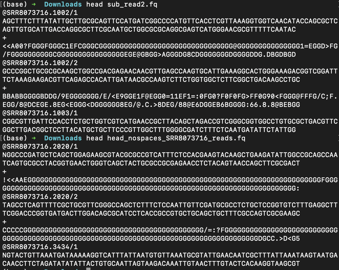 Python error when running StrainXpress on BMock12 dataset · Issue #5 · kangxiongbin/StrainXpress ...