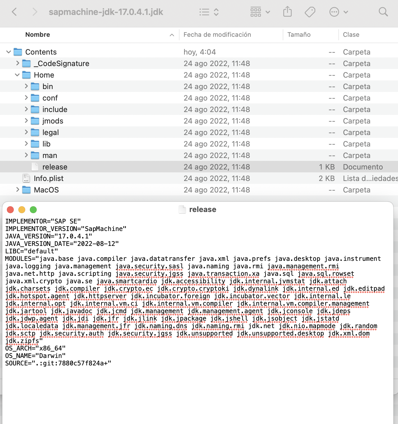 JCo initialization failed. Can't load library libsapjco3.dylib · Issue #1237 · SAP/SapMachine ...
