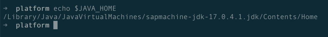 JCo initialization failed. Can't load library libsapjco3.dylib · Issue #1237 · SAP/SapMachine ...