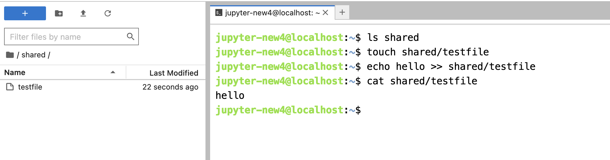 File load error issue when opening files in a shared folder · Issue ...