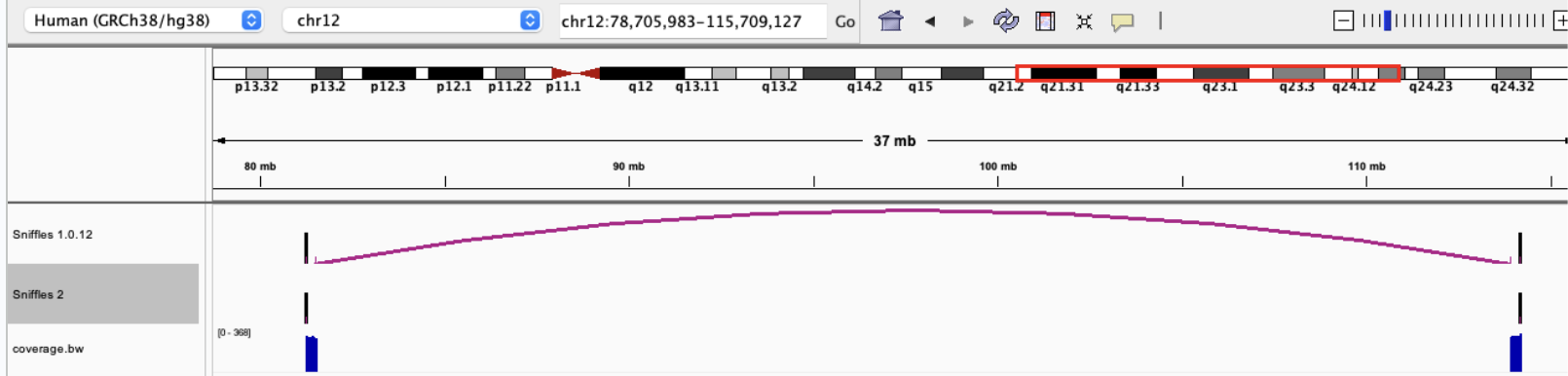 Sniffles2 does not call large DEL · Issue #390 · fritzsedlazeck/Sniffles · GitHub